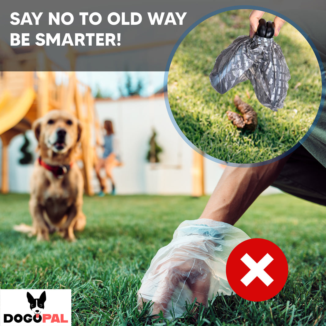 DOGOPAL - Enhancing the Lives of Dogs and Their Owners