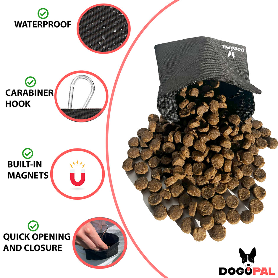 DOGOPAL - Enhancing the Lives of Dogs and Their Owners